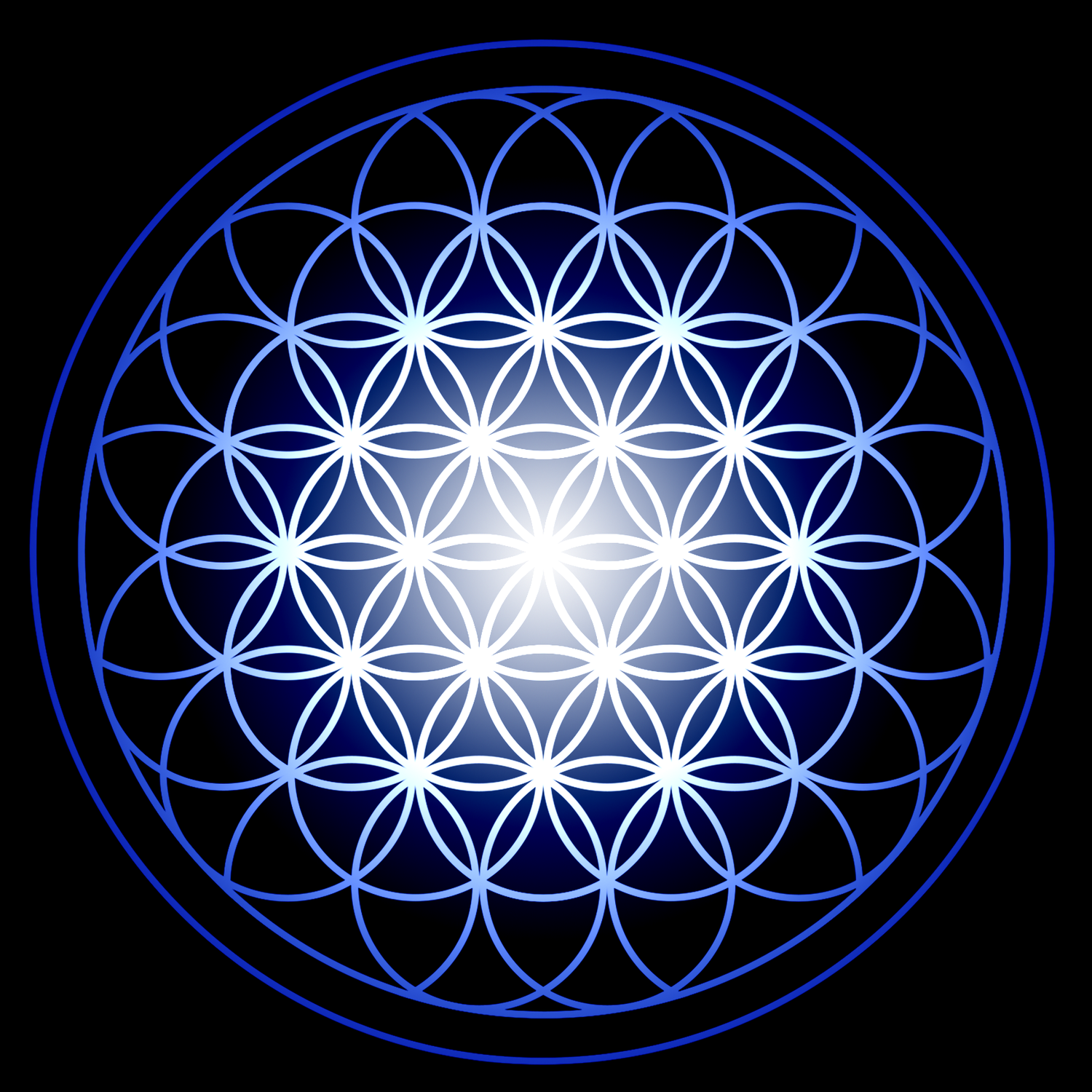 The Origins of Sacred Geometry Artwork – Nature of Flowers