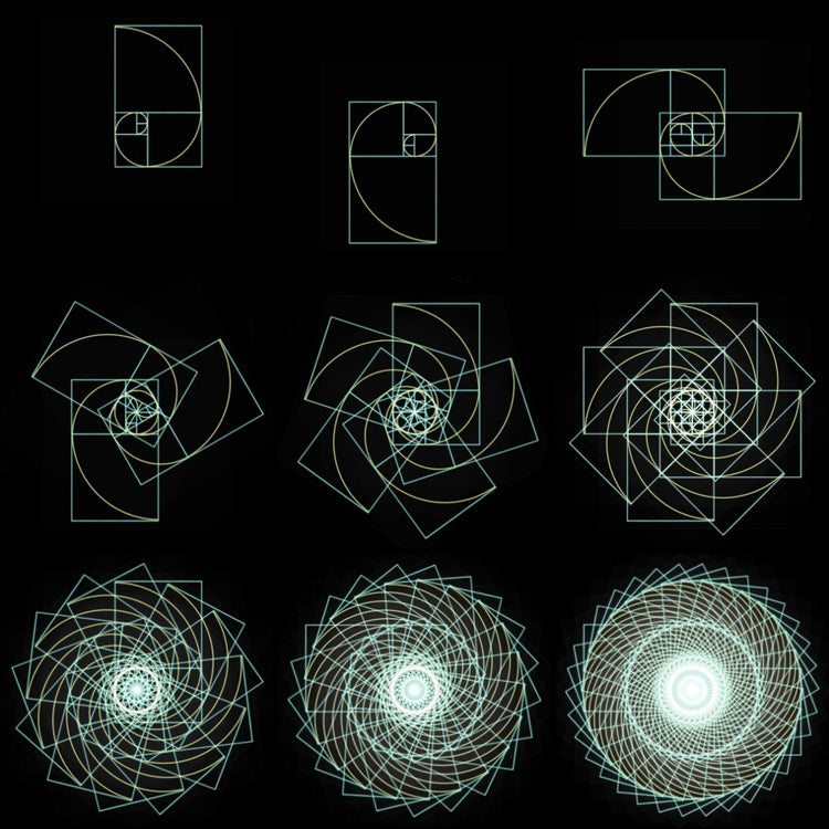 Unveiling the Mysteries of the Fibonacci Sequence: Nature's Mathematic ...