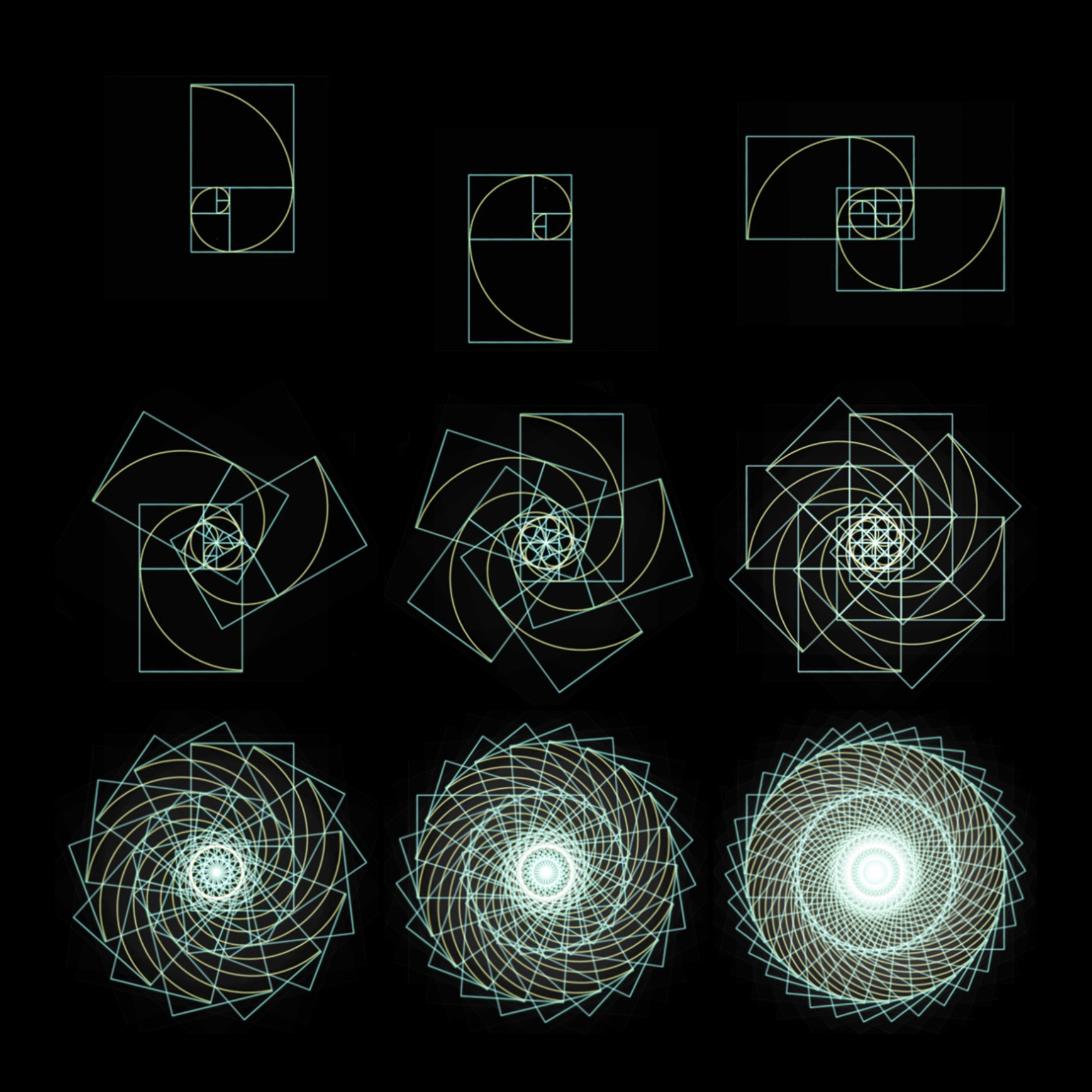 Fibonacci Sequence | Nature of Flowers