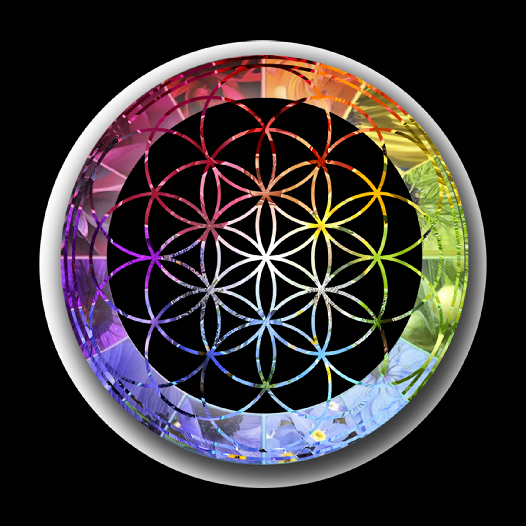Flower of Life Rainbow