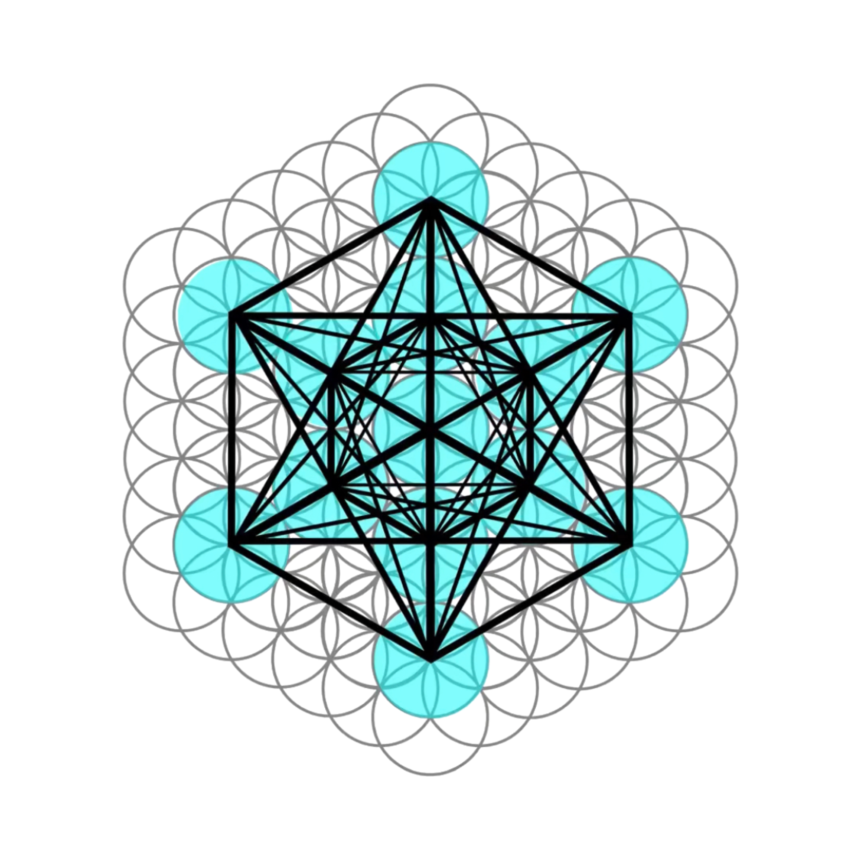 Fruit of Life, Metatron’s Cube | Nature of Flowers