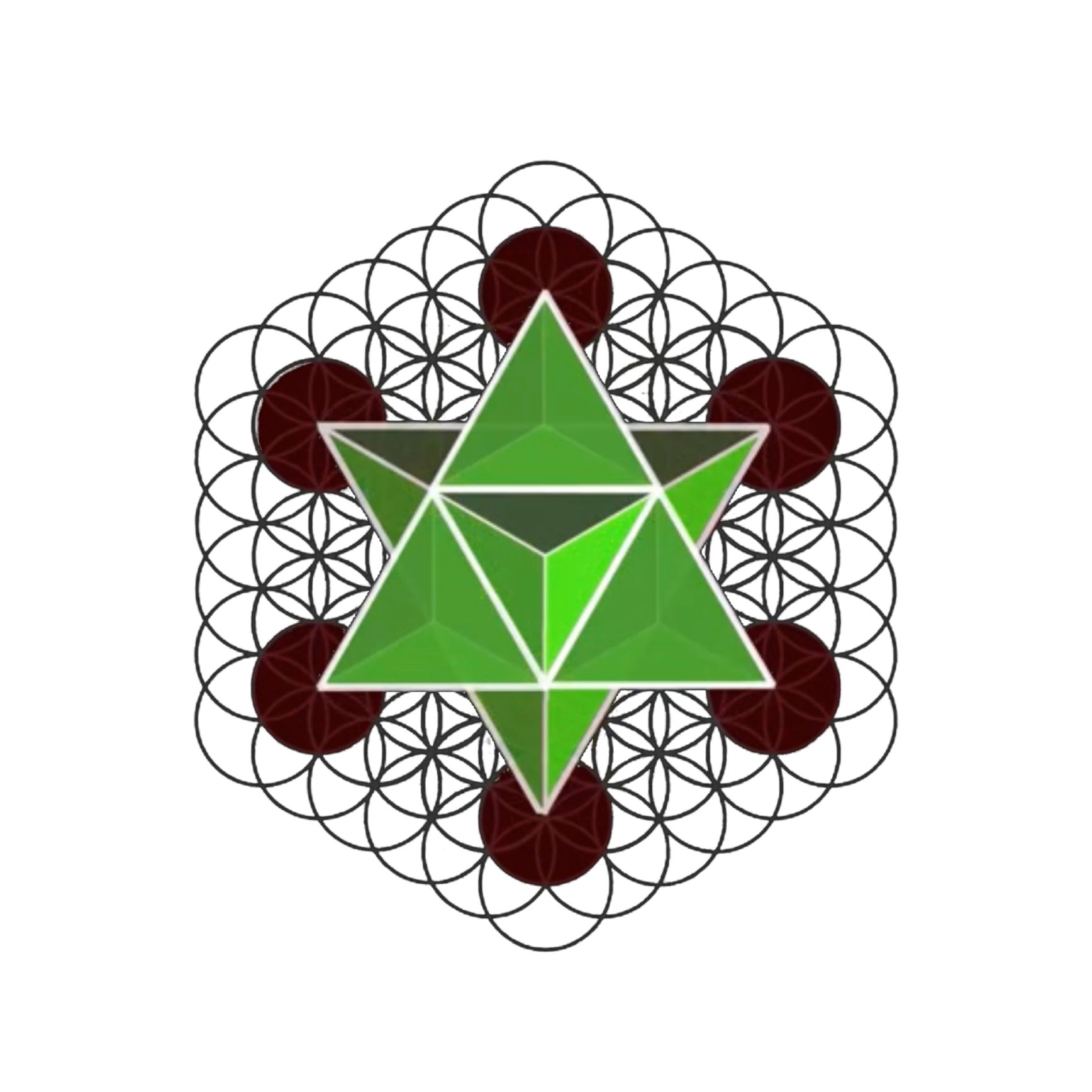 Merkaba Star – Nature of Flowers