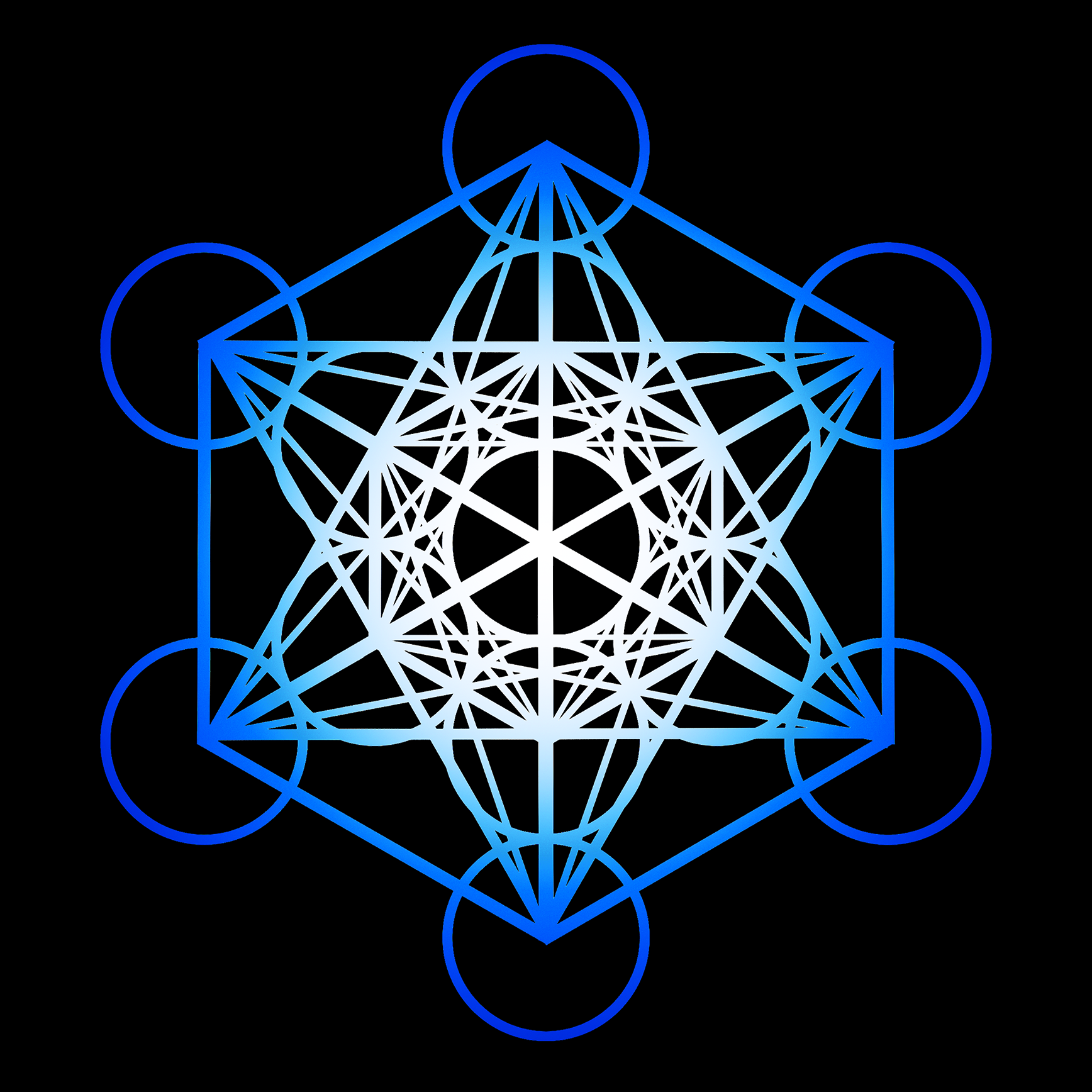 Metatron's Cube – Nature of Flowers