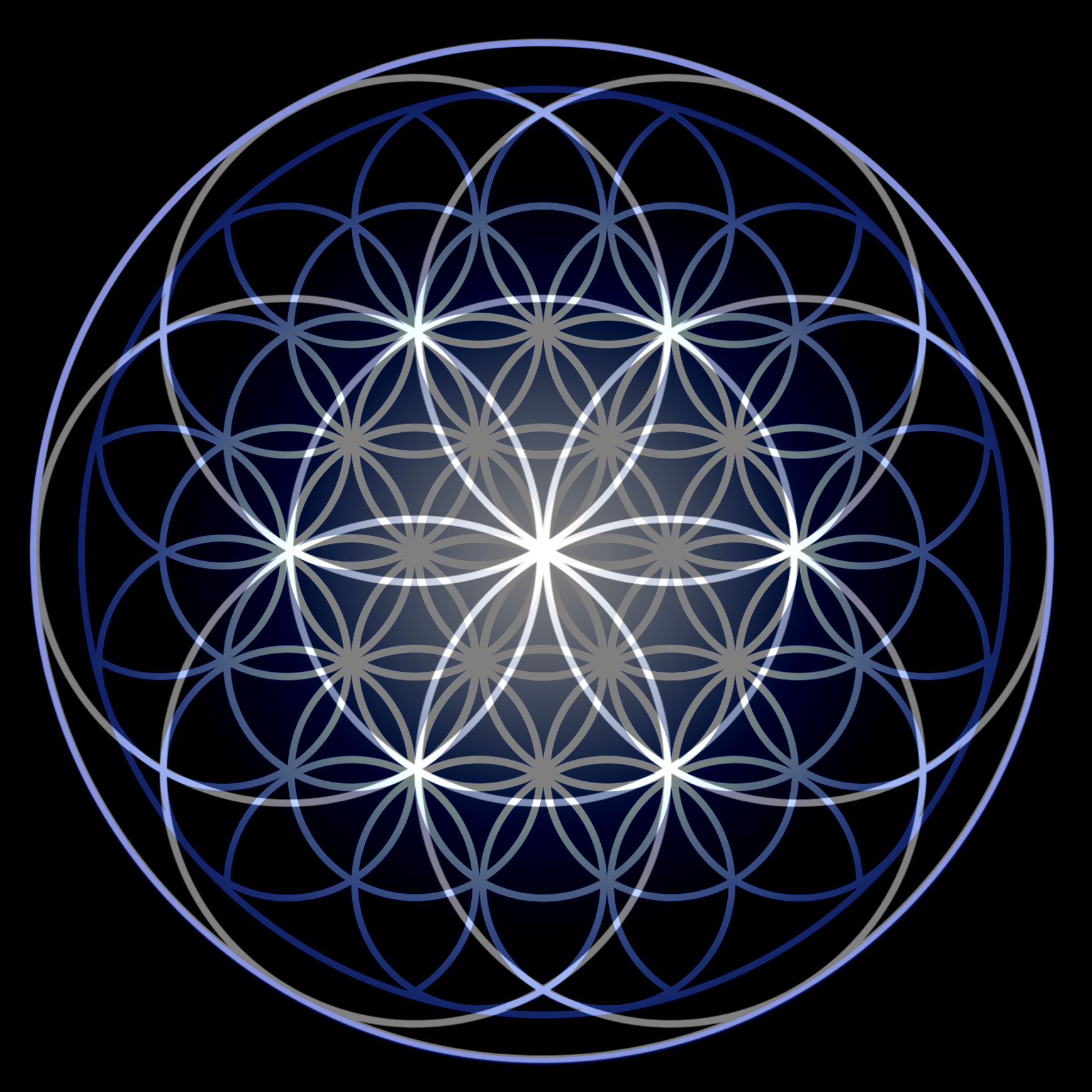 Seed and Flower of Life | Nature of Flowers
