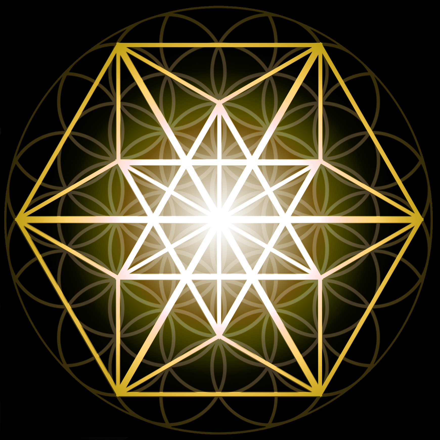 Vector Equilibrium in Gold – Nature of Flowers