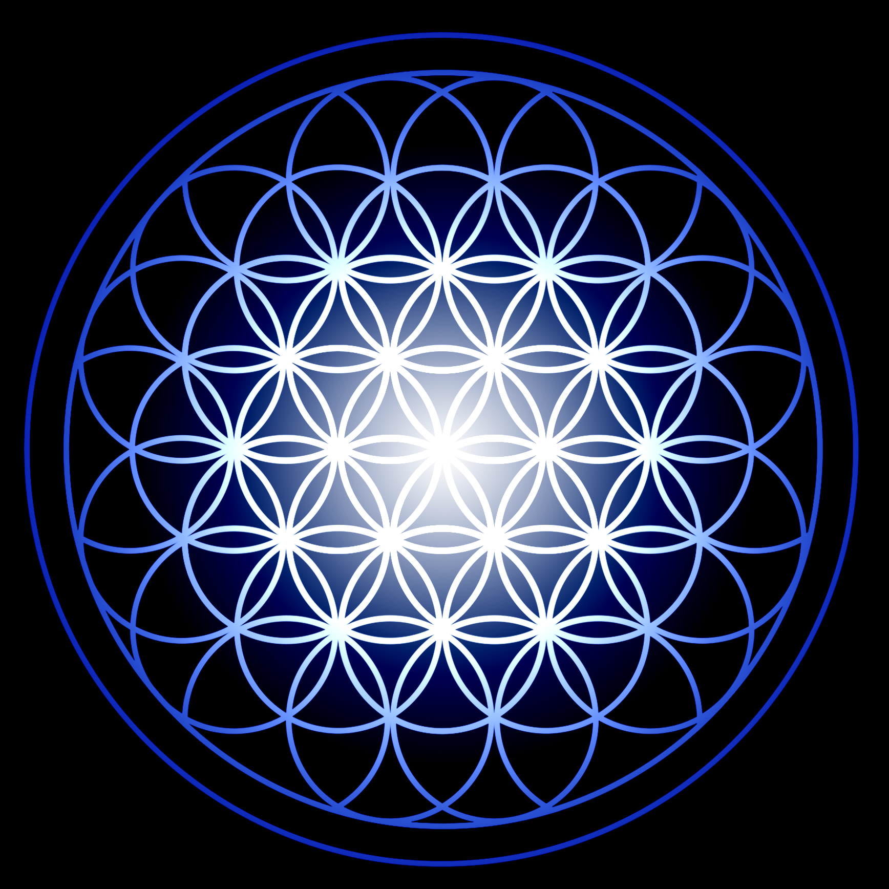 Flower of Life in Blue – Nature of Flowers